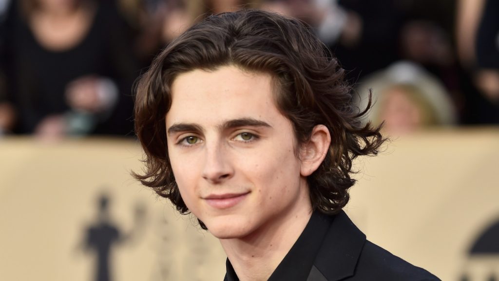 Timothée Chalamet Wiki, Bio, Age, Net Worth, and Other Facts - Facts Five Timothée Chalamet Wiki, Bio, Age, Net Worth, and Other Facts - Facts Five